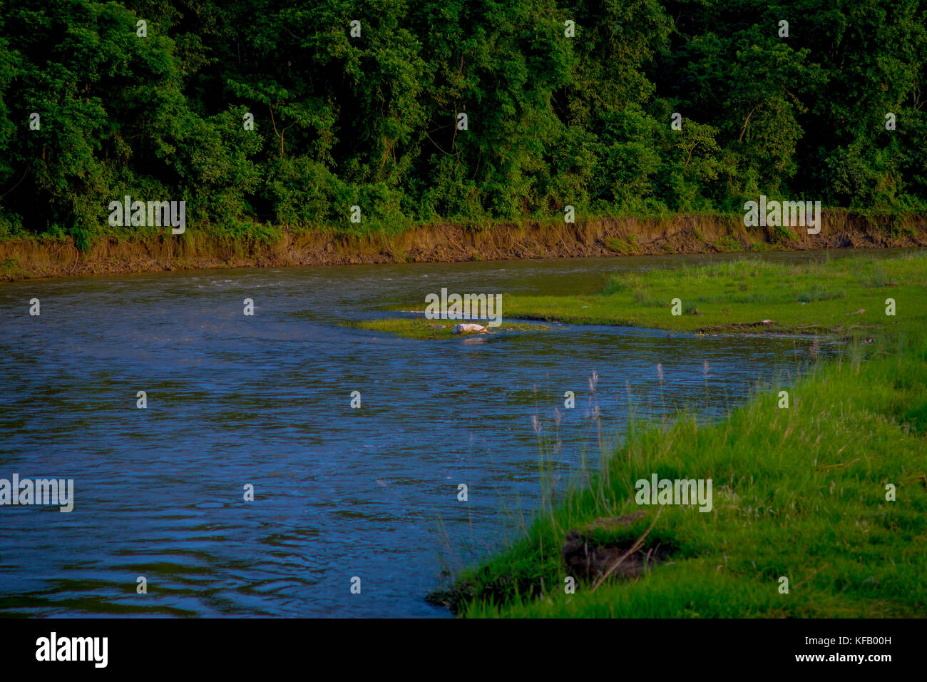 Beautiful view of Chitwan National Park with a river, mainly covered by ...