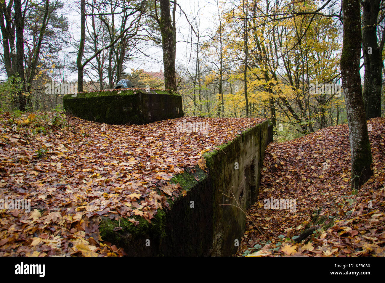 Old bunkers from World War II. German fortifications from the ...