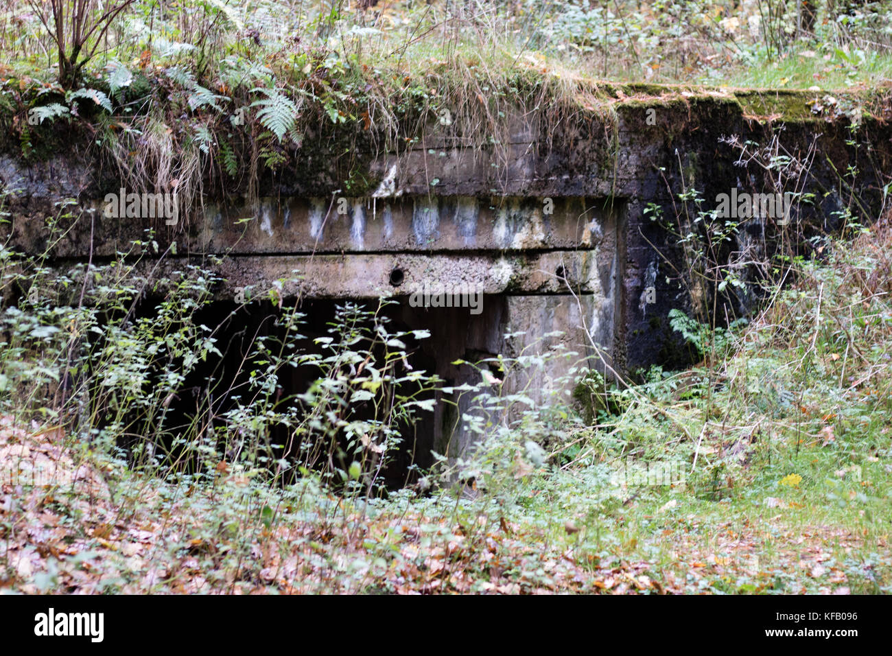 Old bunkers from World War II. German fortifications from the ...