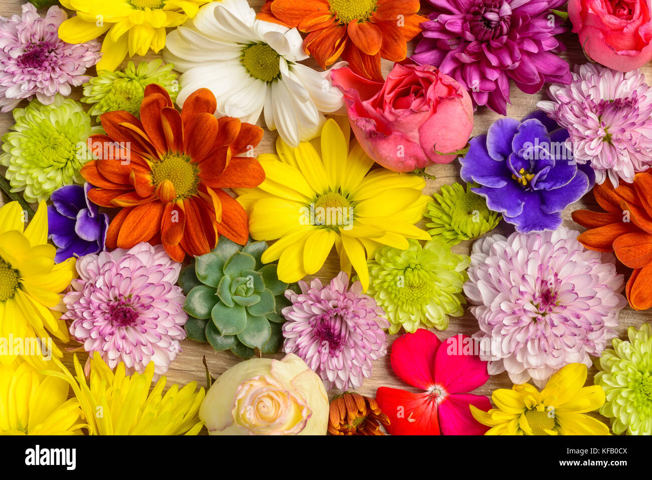 Scattered flower decoration hi-res stock photography and images - Alamy