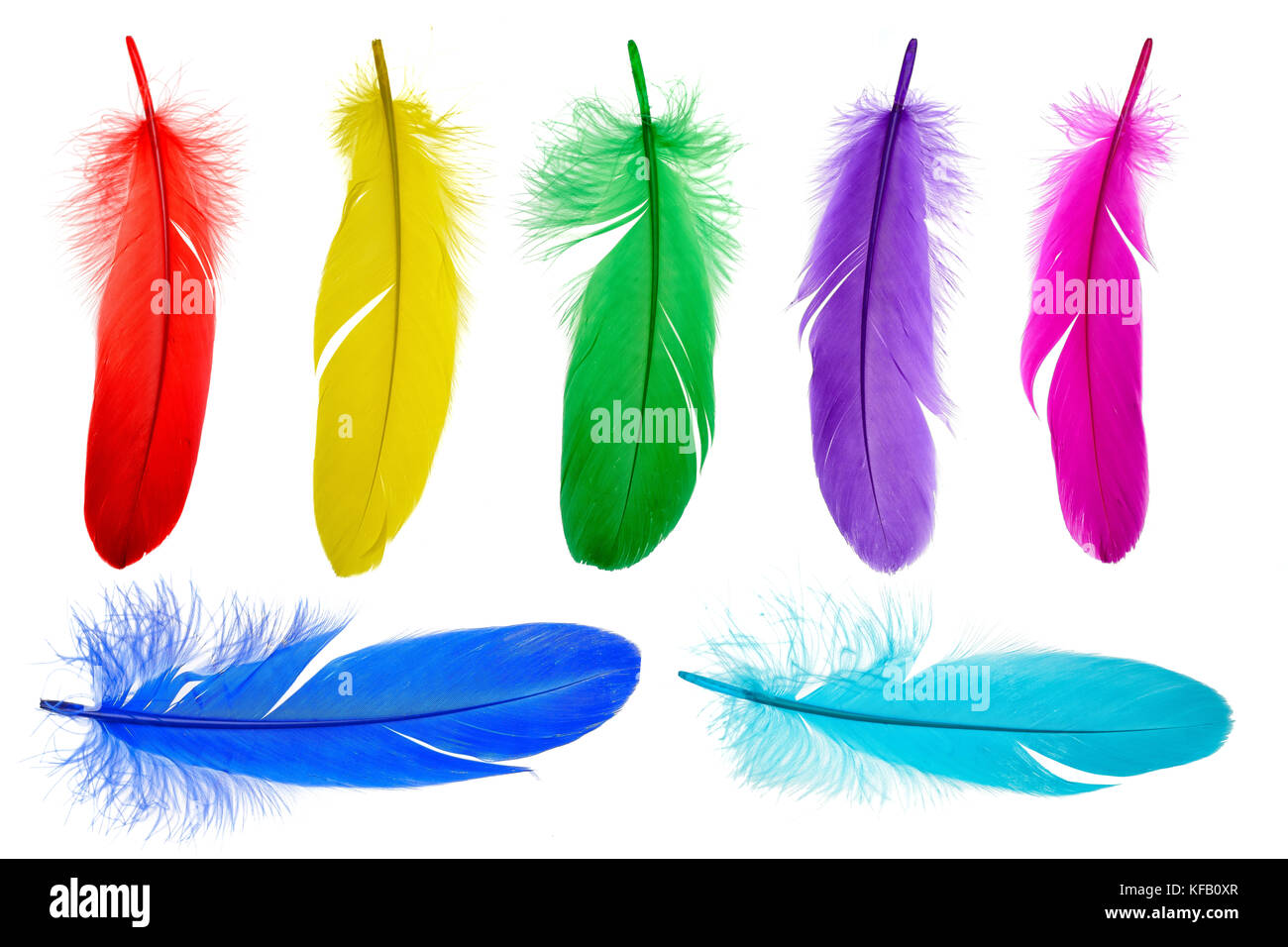 Spotty feathers Cut Out Stock Images & Pictures - Alamy