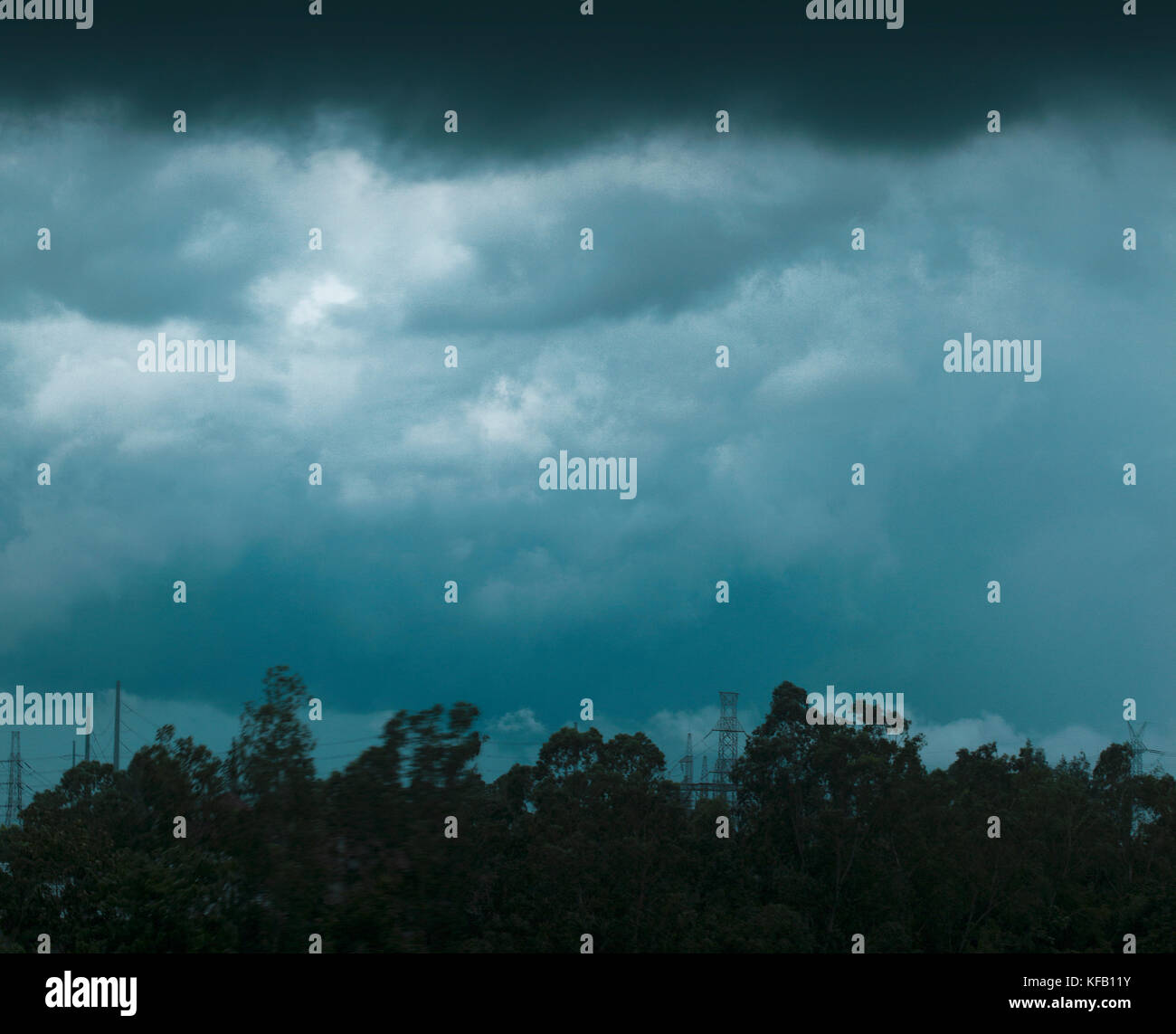 Storm clouds with rain over forest with green leaves Stock Photo - Alamy