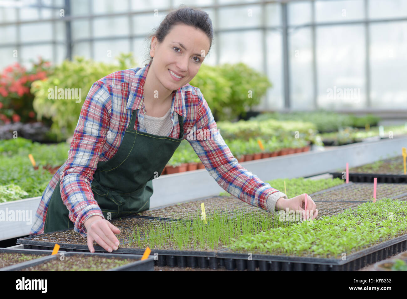 beautiful woman gardening and smiling at camera Stock Photo - Alamy