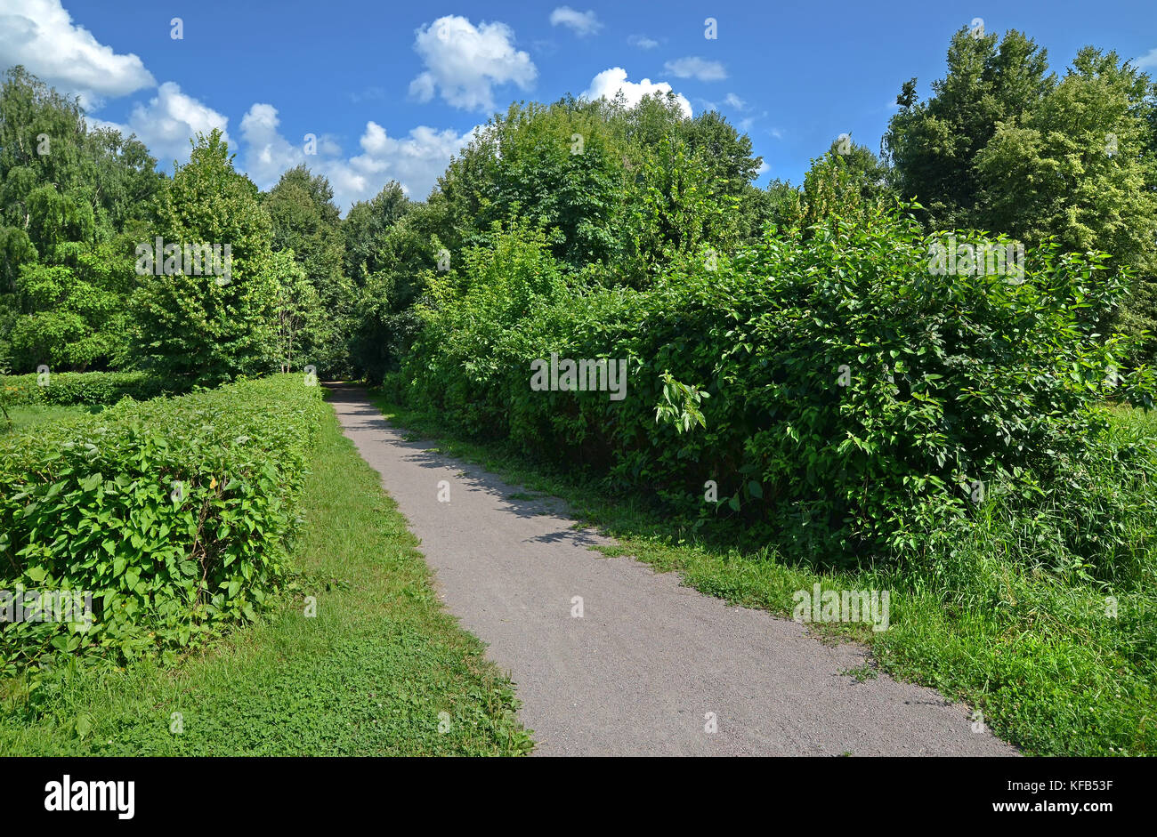 Blue sky, green grass and park in Moscow, Russia Stock Photo - Alamy