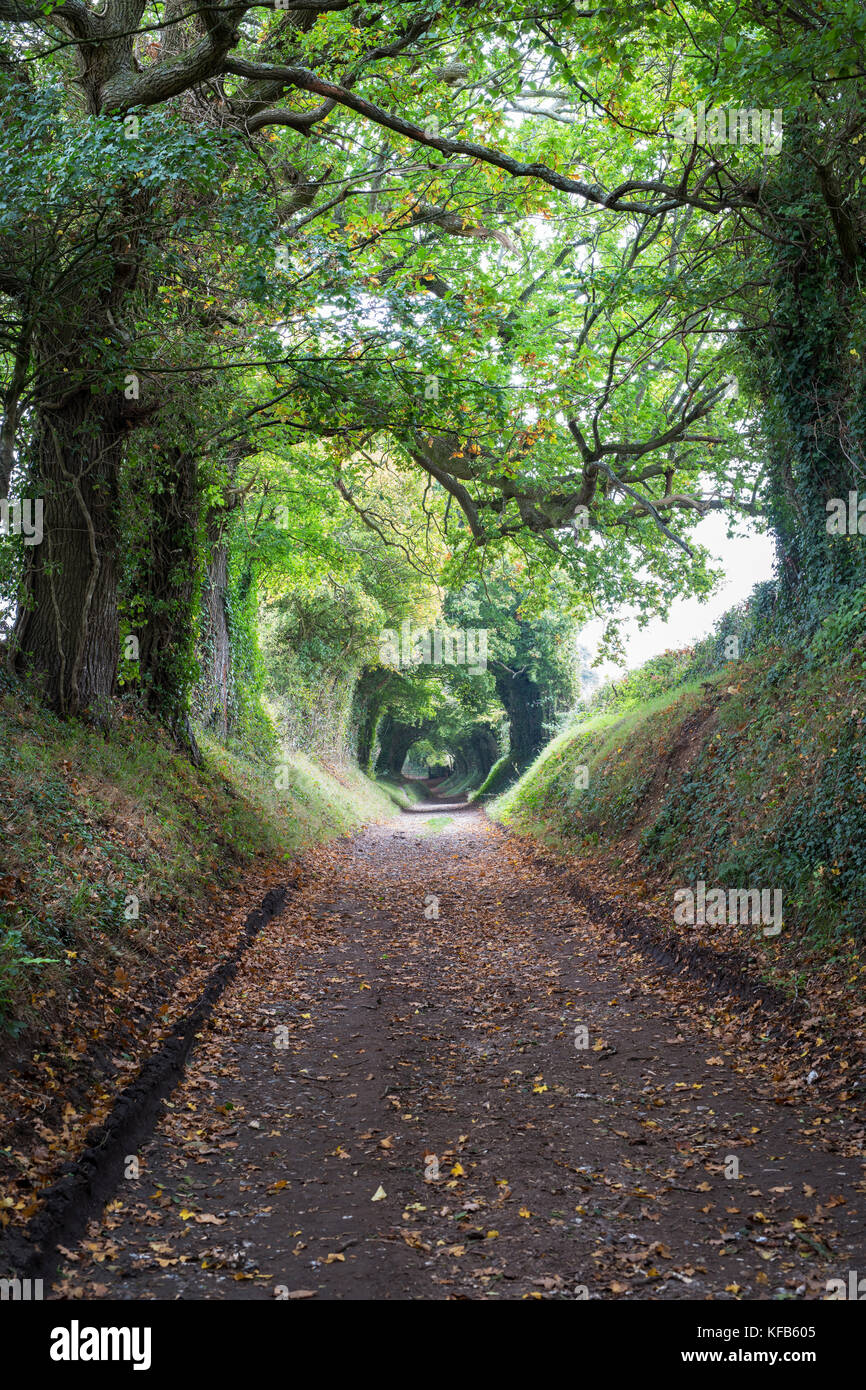 Halnaker hi-res stock photography and images - Alamy