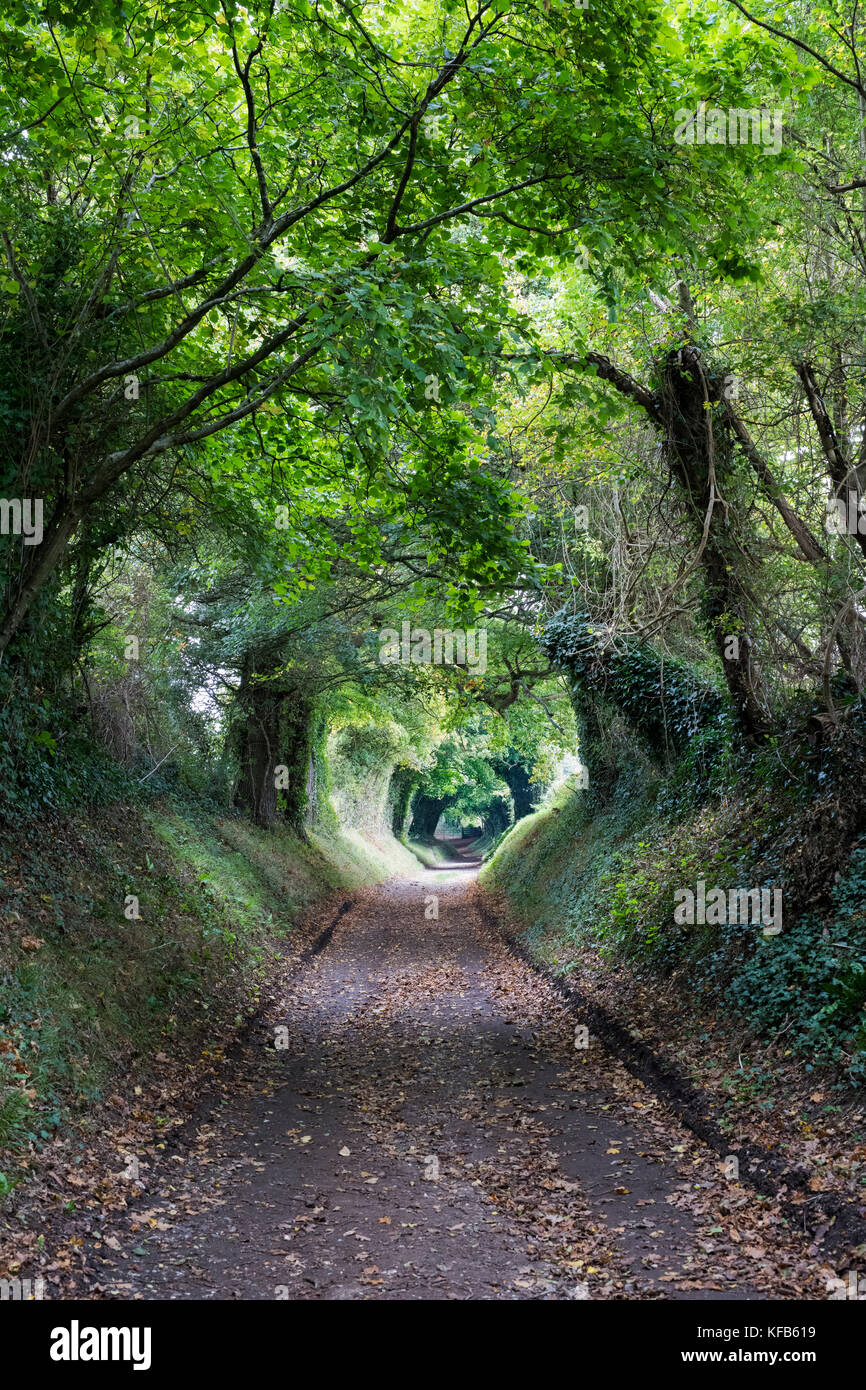 Halnaker High Resolution Stock Photography and Images - Alamy