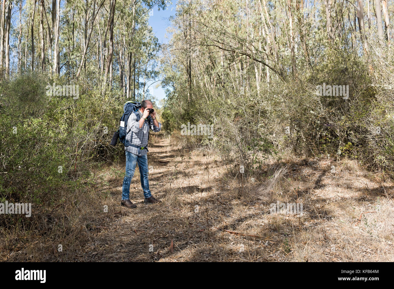 Adult male hiker camera hi-res stock photography and images - Alamy