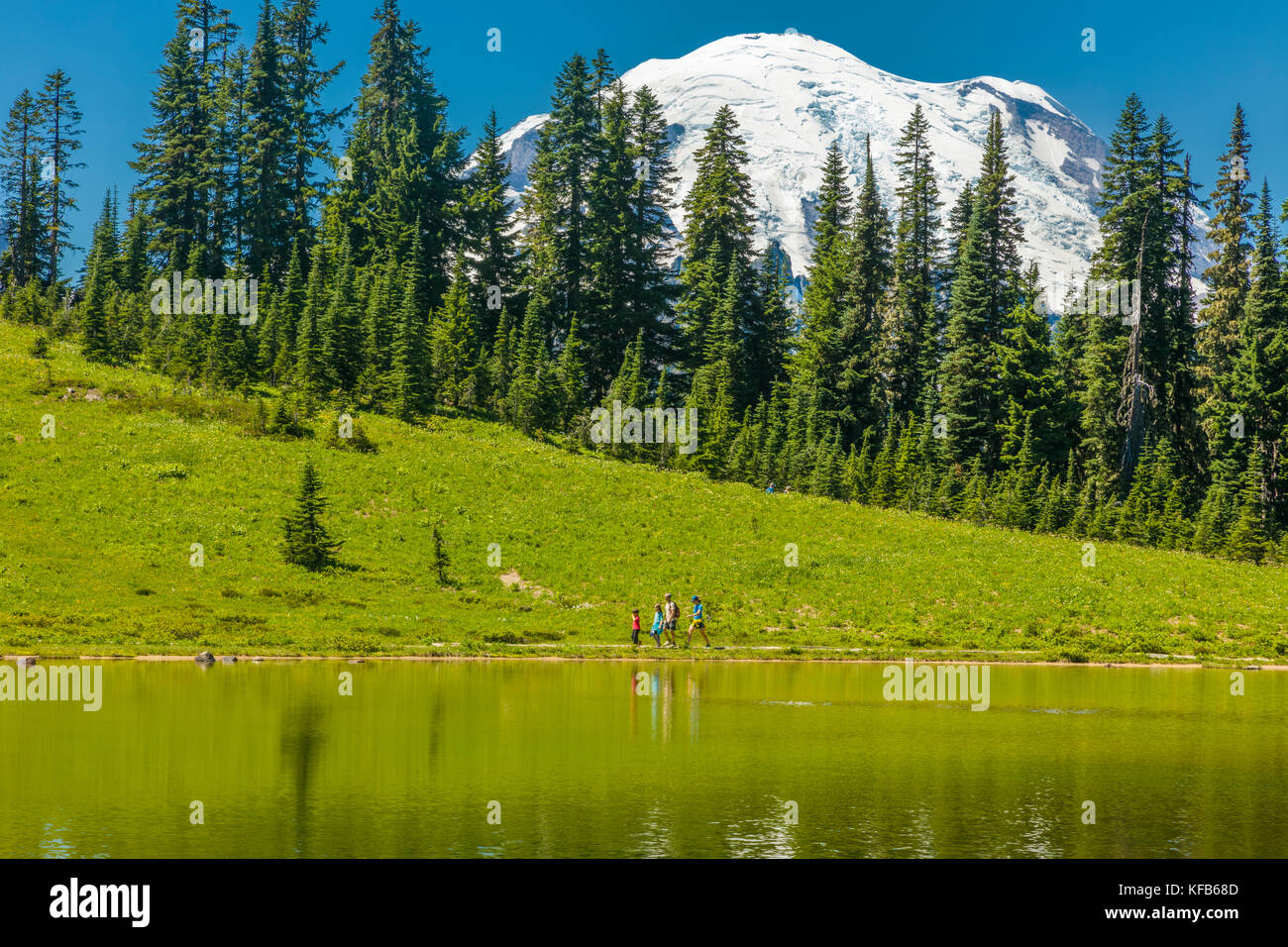 Tipsoo Lake with Mt. Rainier in the distance on the Mather Memorial ...