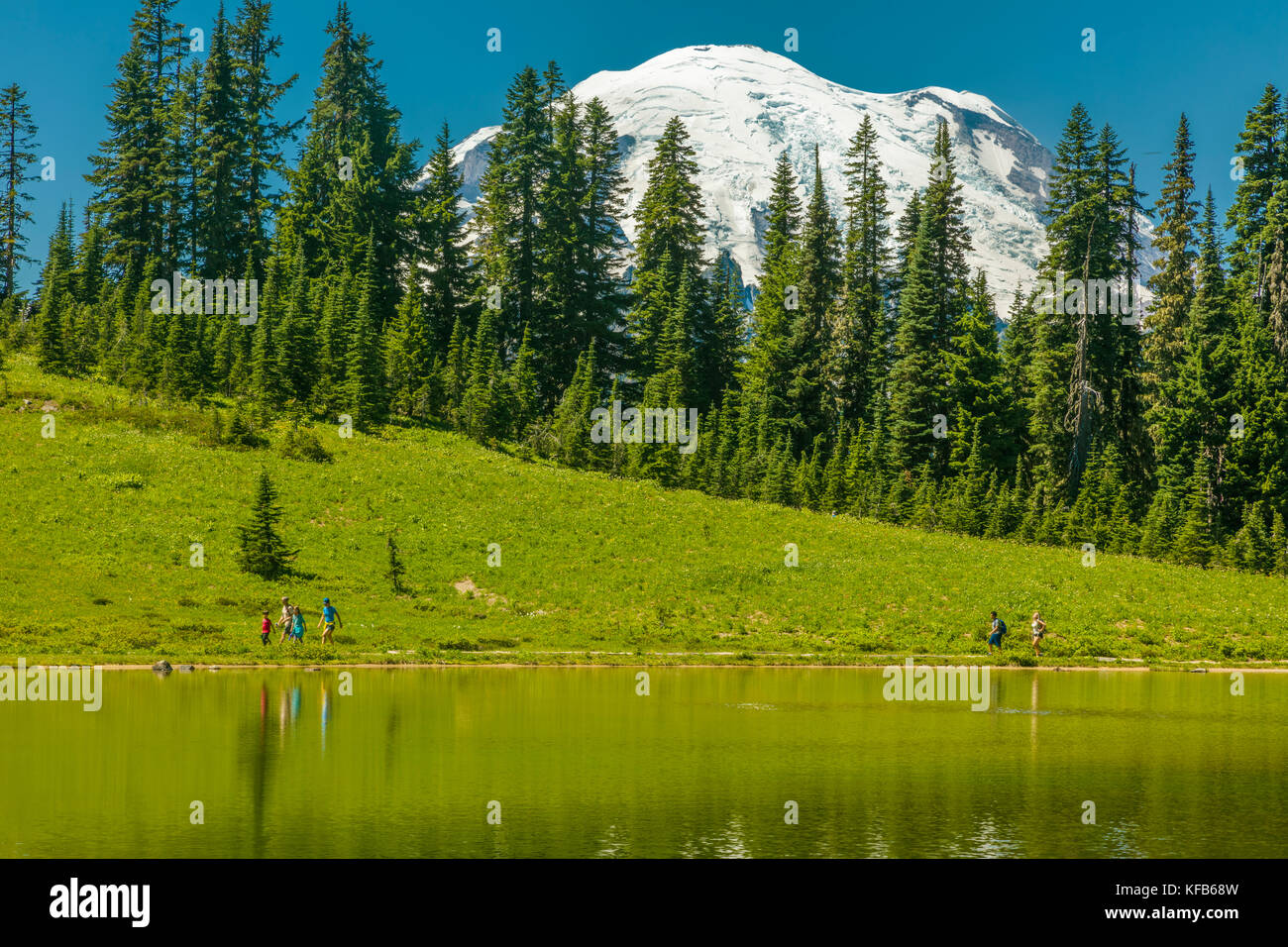 Tipsoo Lake with Mt. Rainier in the distance on the Mather Memorial ...