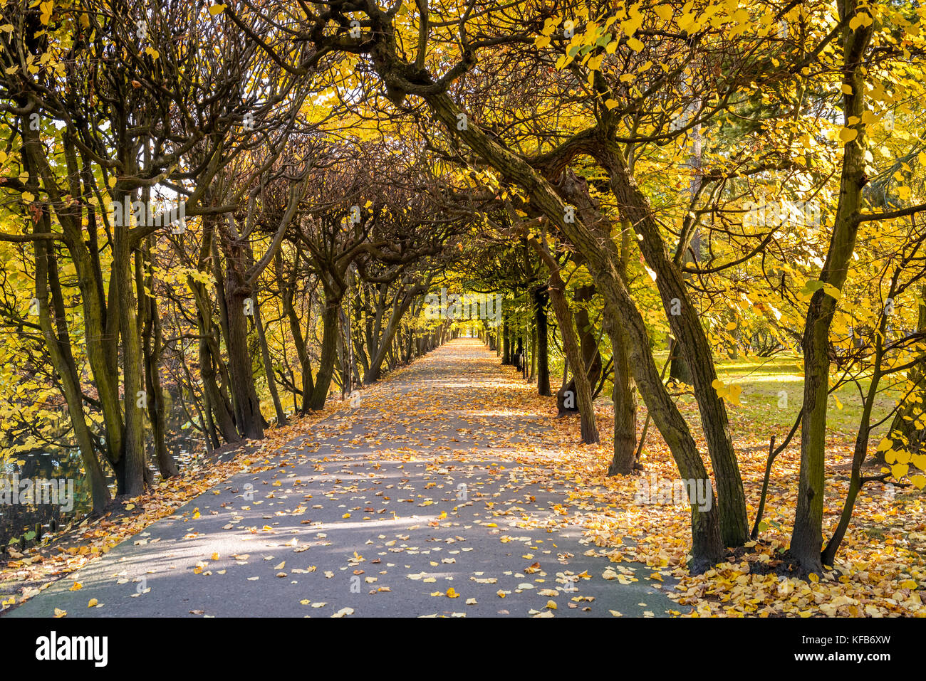 Autumn scenery in the Oliwski park. Park is favorite tourist ...