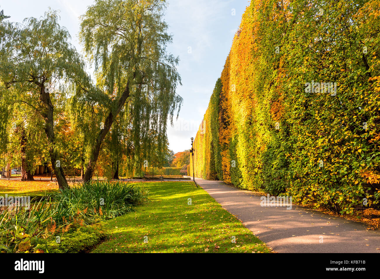 Autumn in the Oliwski park. Park is favorite tourist destination in ...
