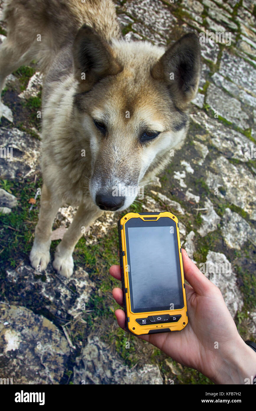 Walk in old town with dog and Navigator - check sense of homing of dog ...
