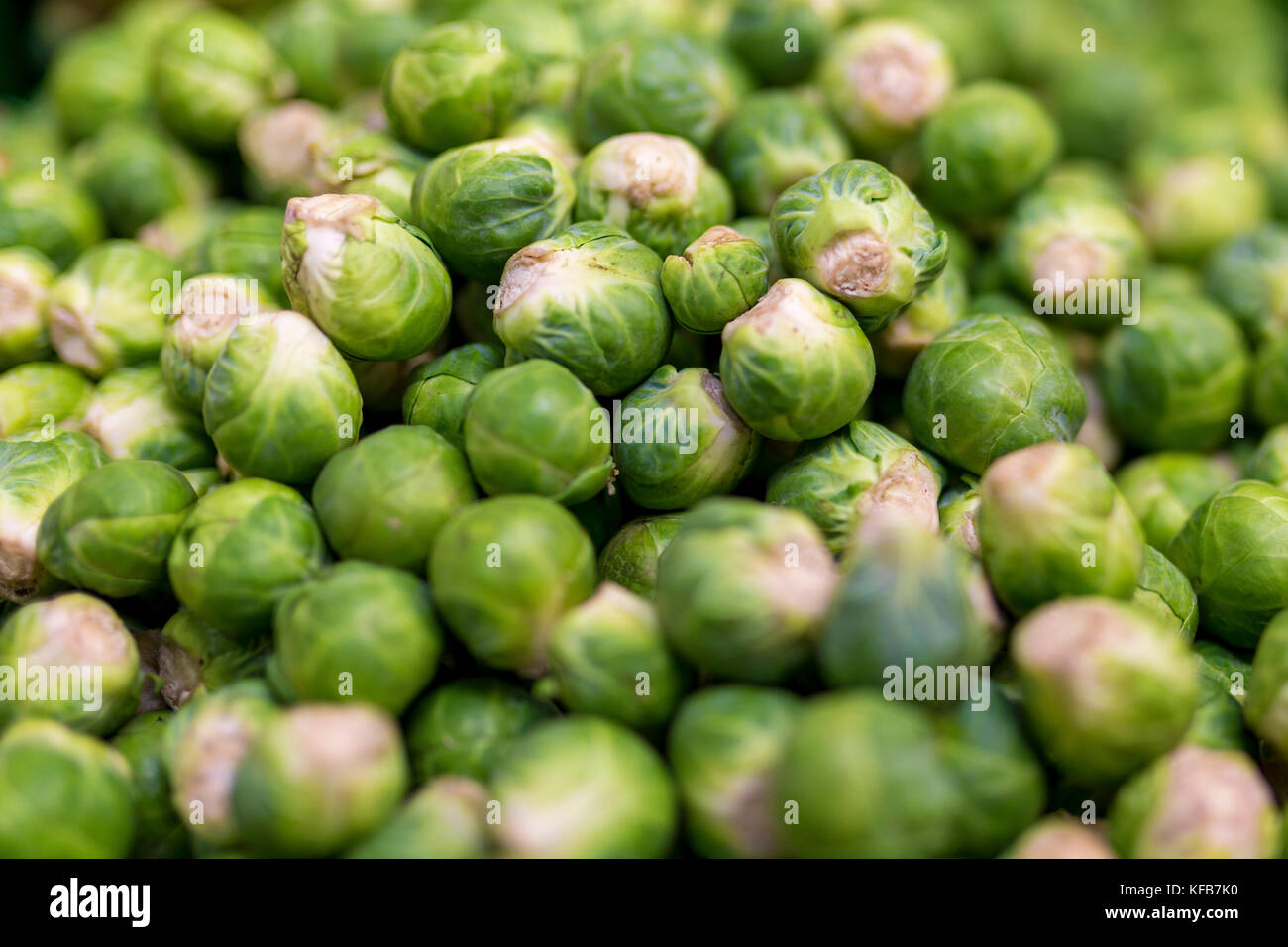 Close up of delicious and colourful vibrant brussel sprouts on a market ...