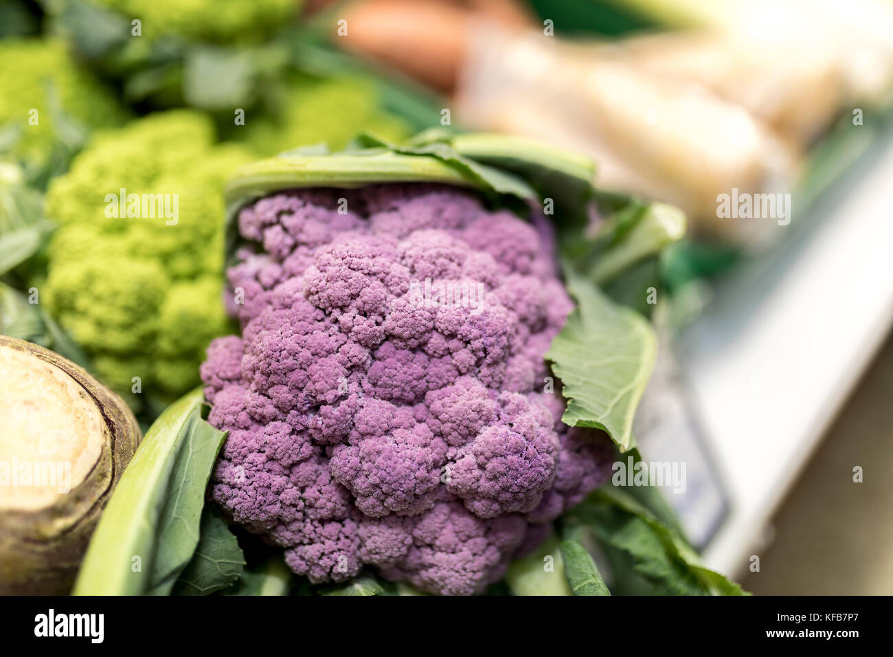 Close up of ripe and vibrant purple cauliflowers in front of green ...