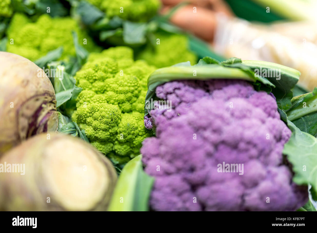 Close up of ripe and vibrant green Romanesco vegetables behind purple ...