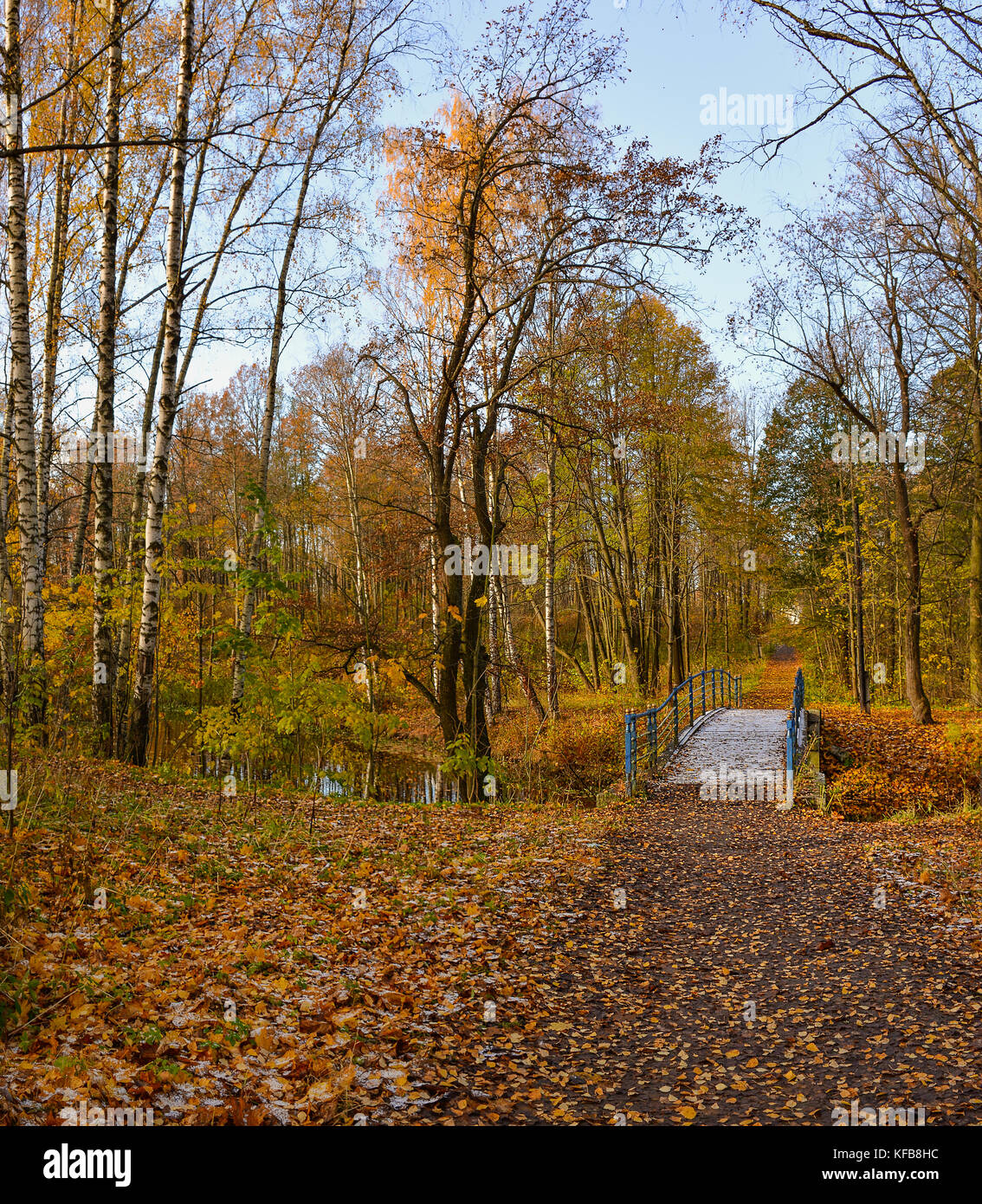 Golden autumn in the forest Park Stock Photo - Alamy