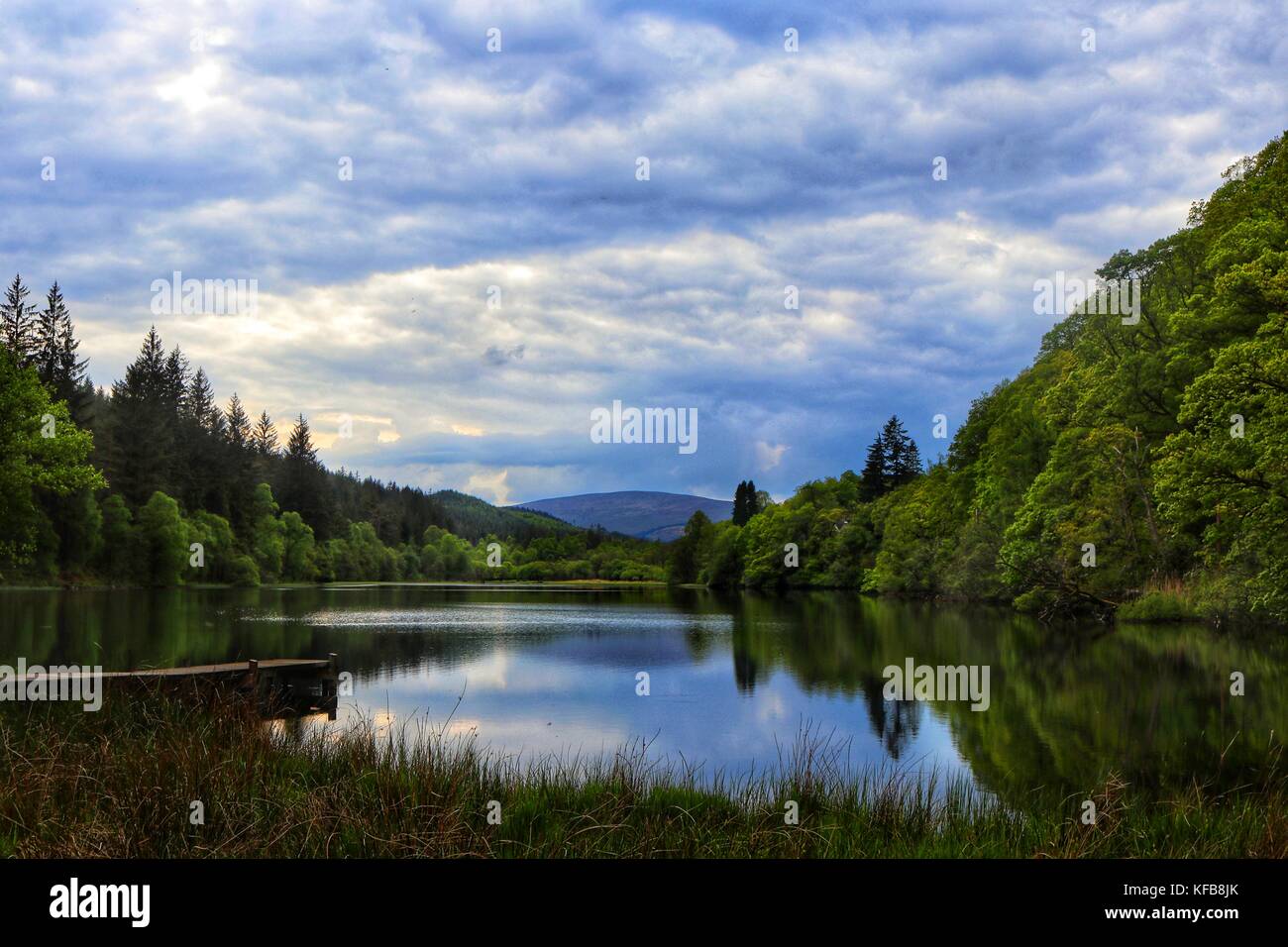 Loch Ard, Aberfoyle, Kinlochard, Scotland, Highlands Stock Photo - Alamy