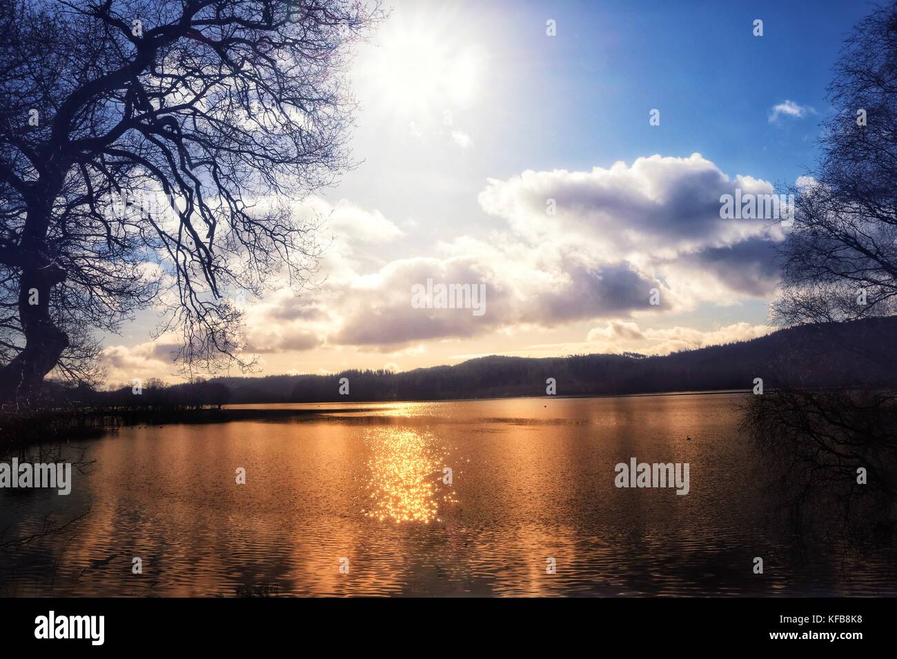 Loch Ard, Aberfoyle, Kinlochard, Scotland, Highlands Stock Photo - Alamy