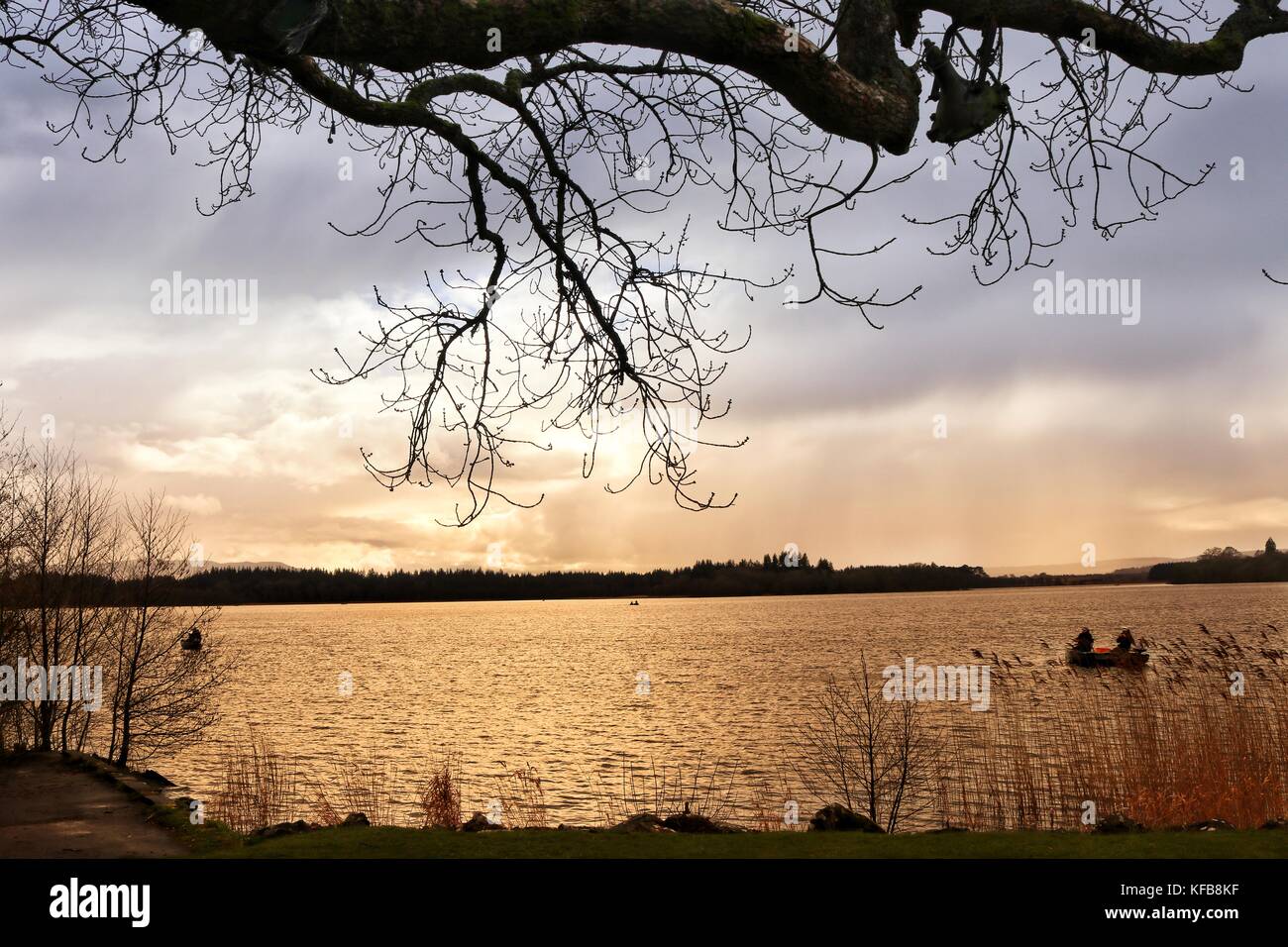 Loch Ard, Aberfoyle, Kinlochard, Scotland, Highlands Stock Photo - Alamy