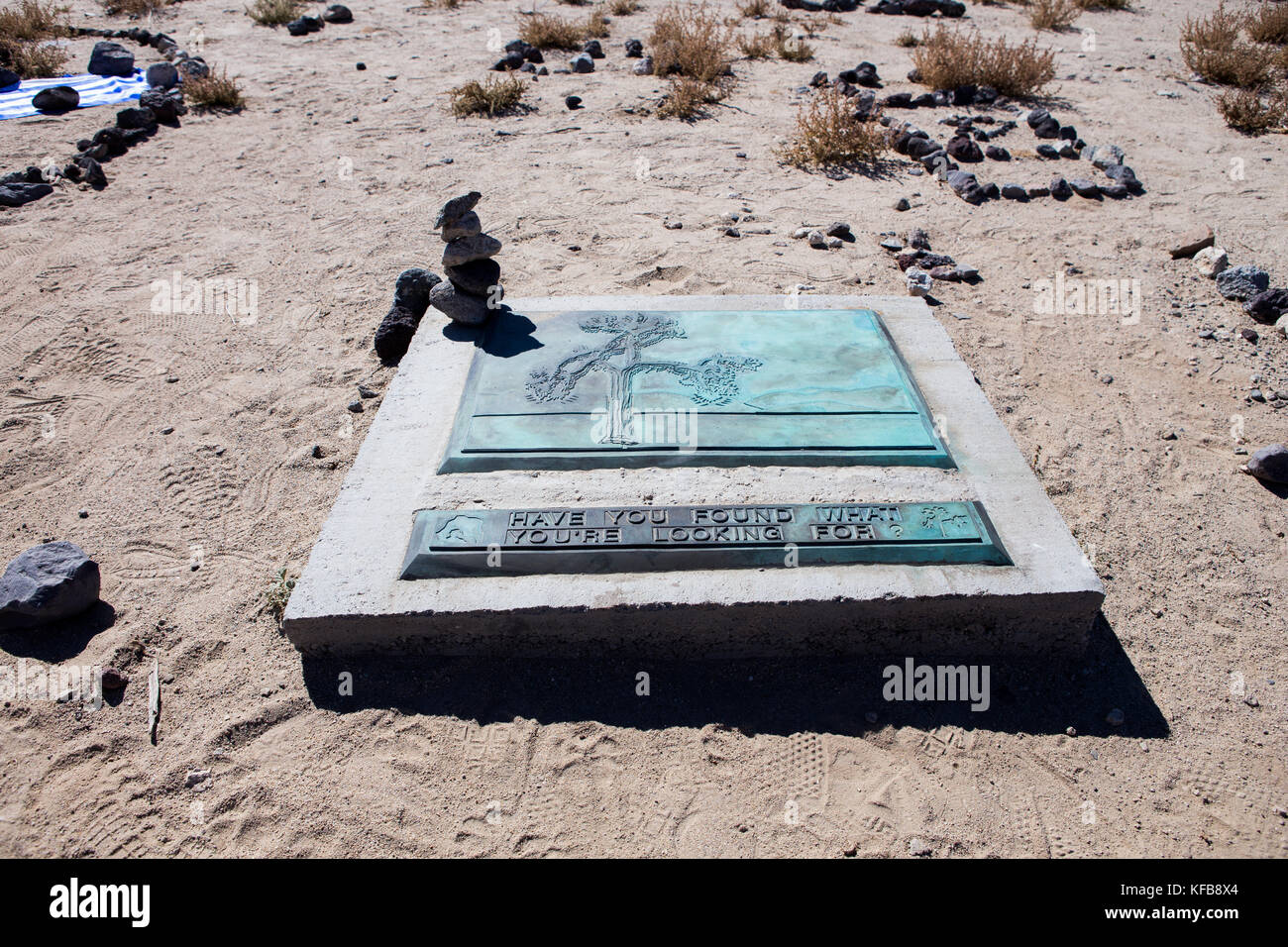 remains of the famous Joshua tree used as a photo location for the U2 ...