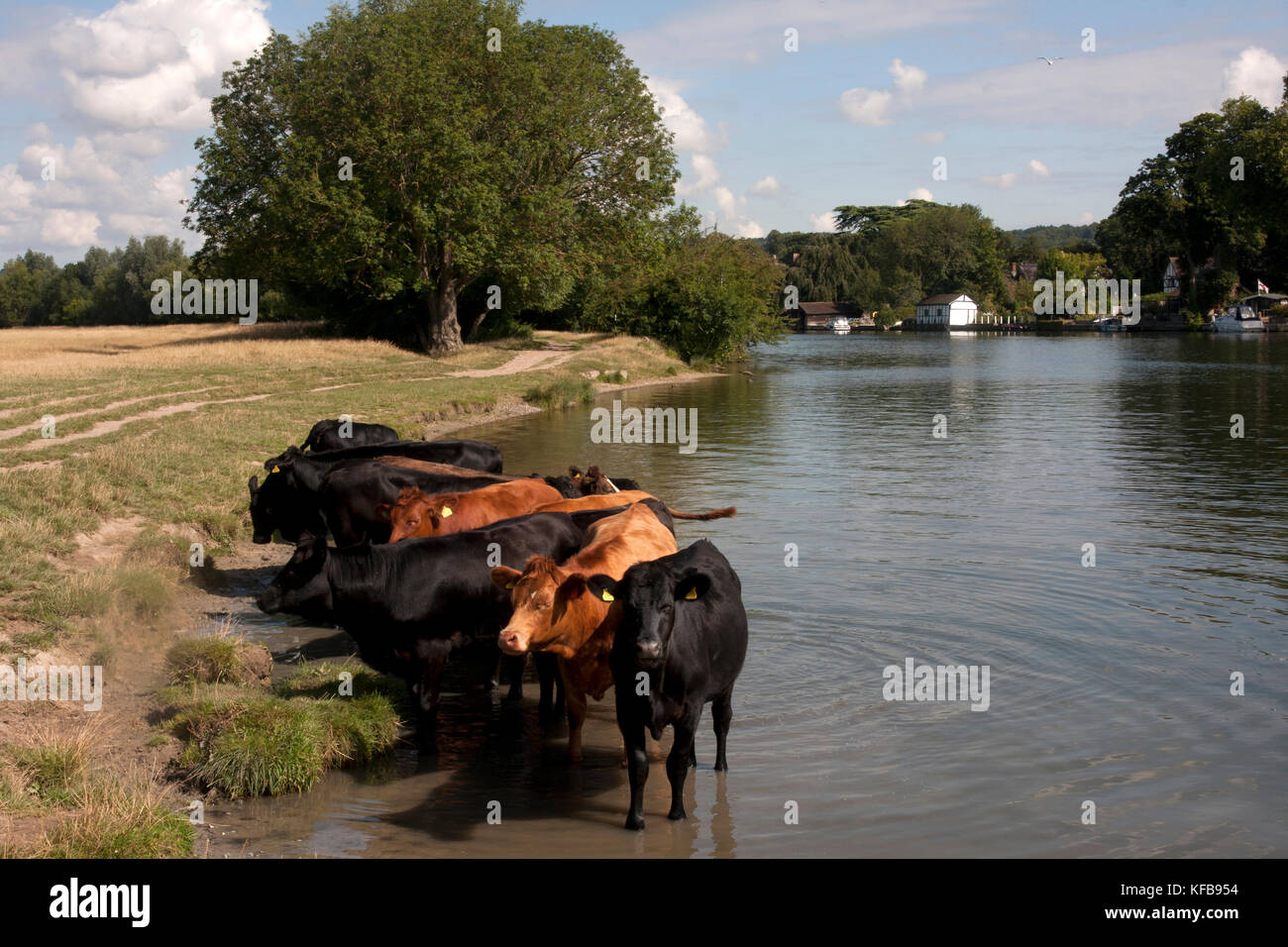 High Wycombe High Resolution Stock Photography and Images - Alamy