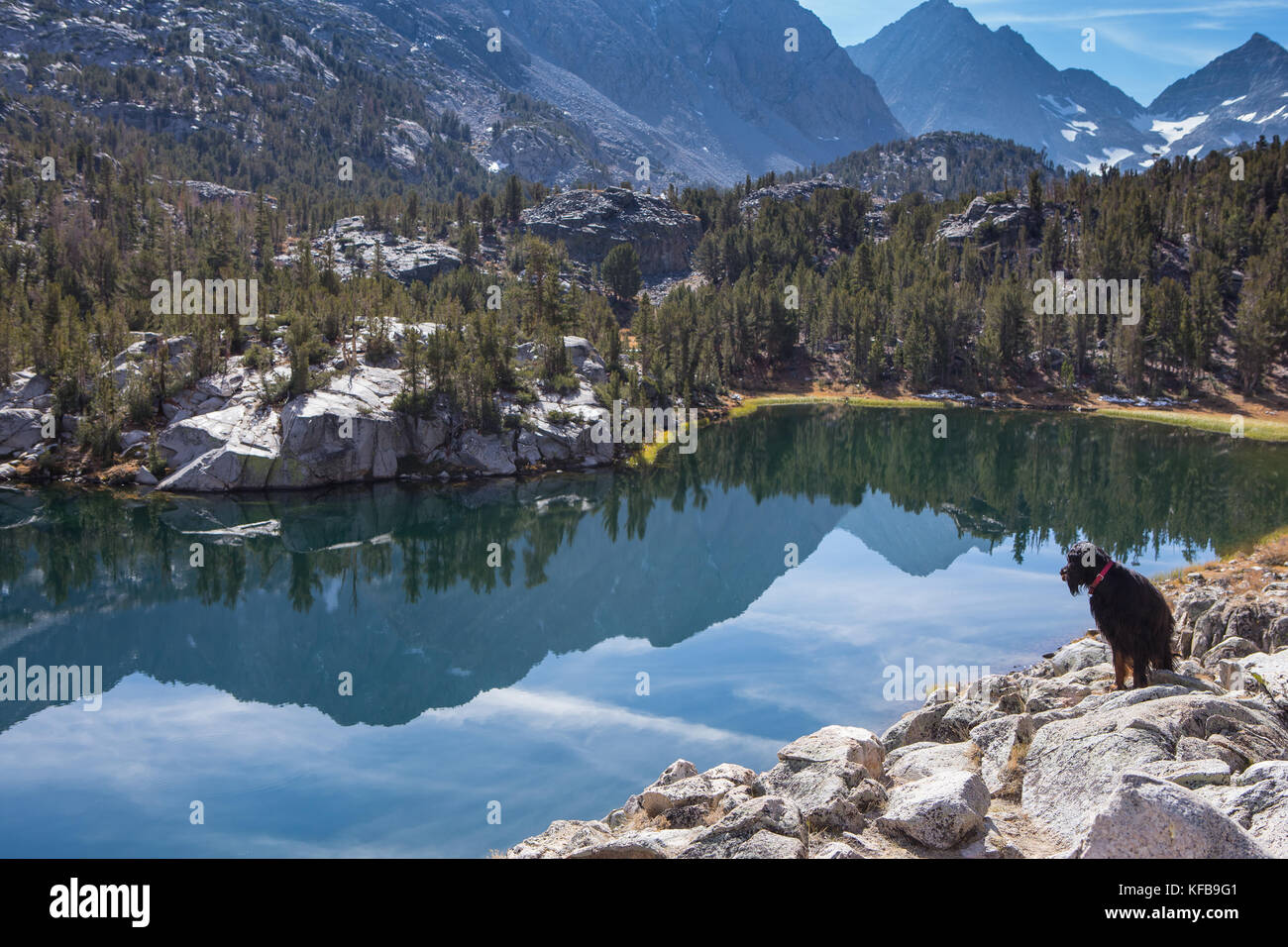 Beautiful rocky mountains and a dog hi-res stock photography and images ...