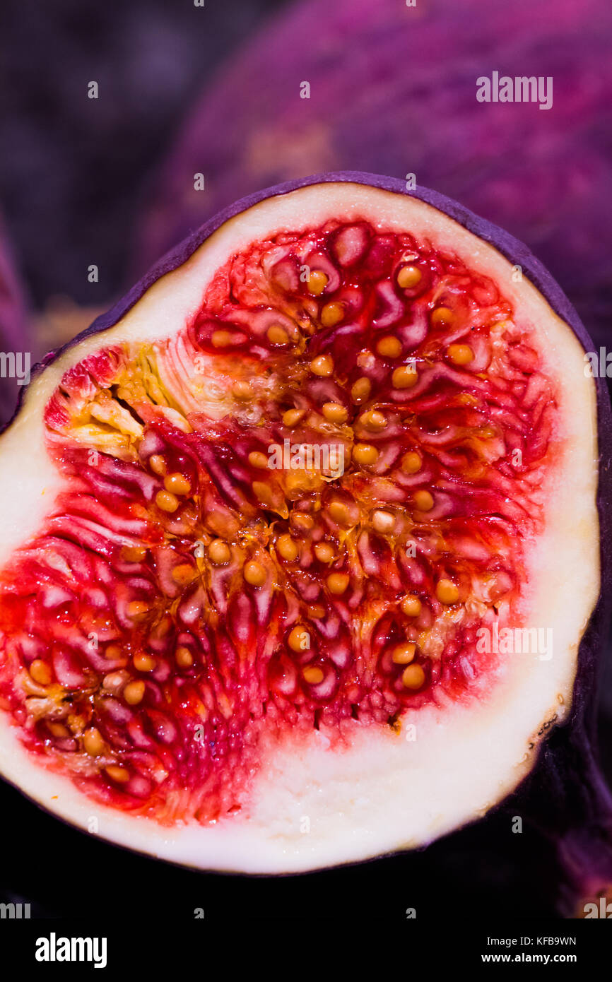 Macro of ripe common fig (Ficus carica) fruit over dark background ...