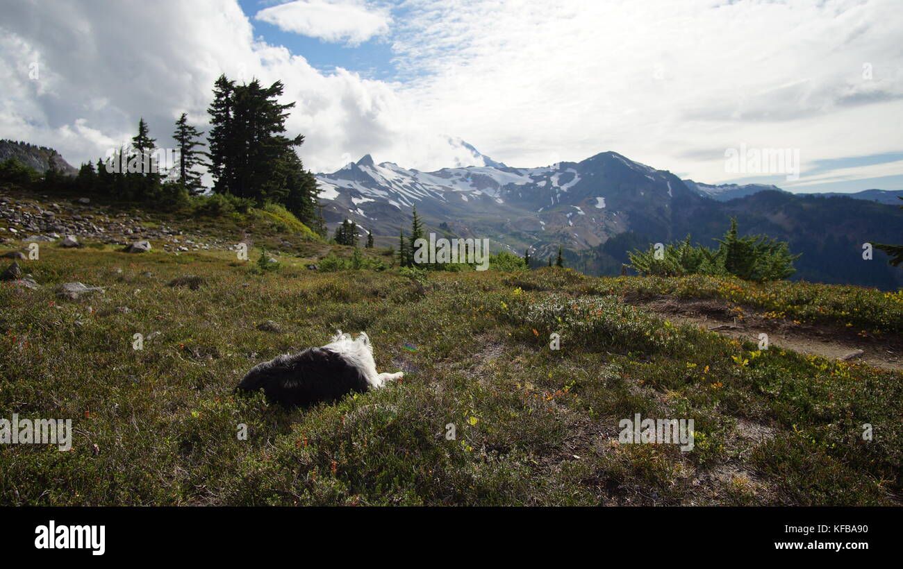 Exploring Washington State, The Great Pacific Northwest Stock Photo - Alamy