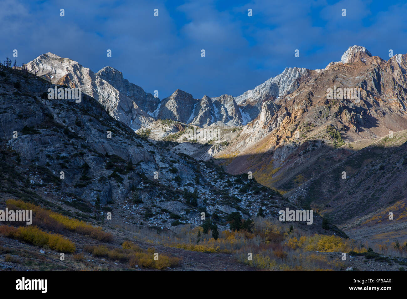 Fall colors in the McGee creek Canyon area of the John Muir Wilderness. Eastern Sierra Nevada ...
