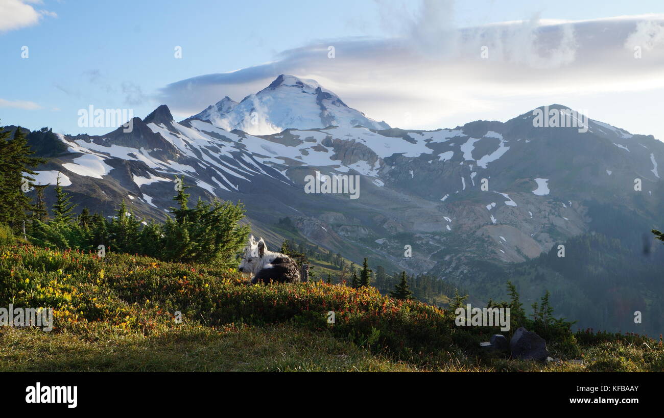 Exploring Washington State, The Great Pacific Northwest Stock Photo - Alamy