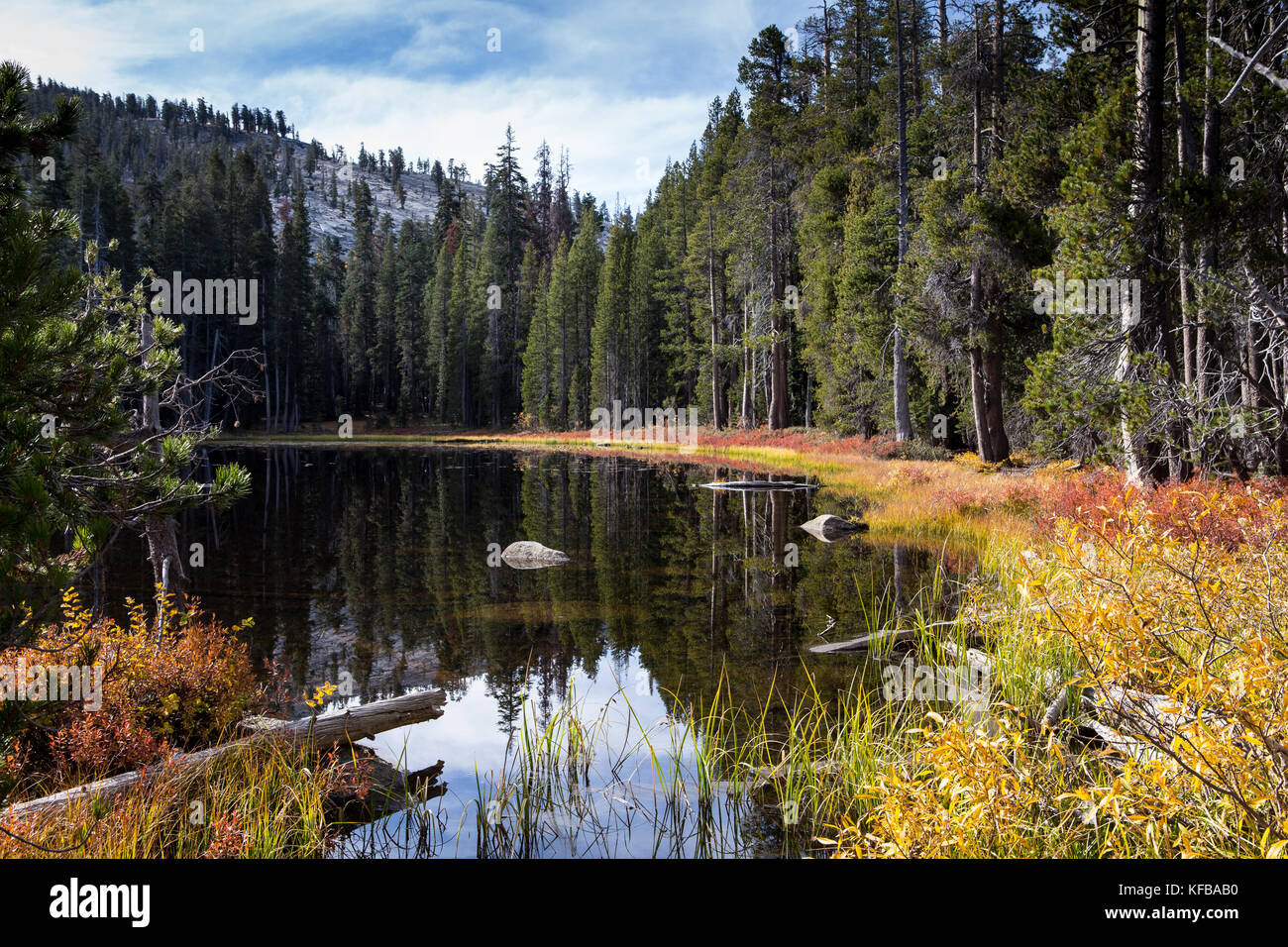 A small mountain lake surrounded by fall color in Yosemite national ...