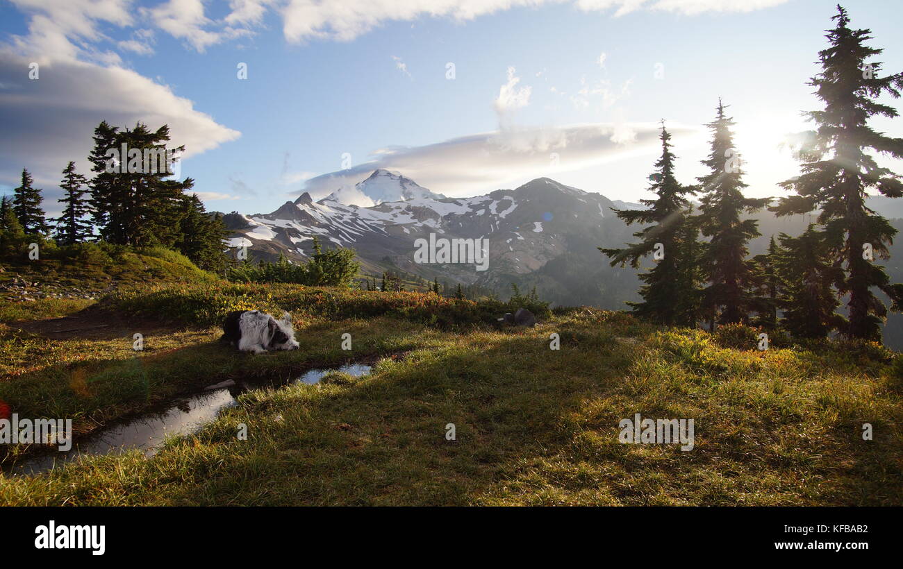 Exploring Washington State, The Great Pacific Northwest Stock Photo - Alamy