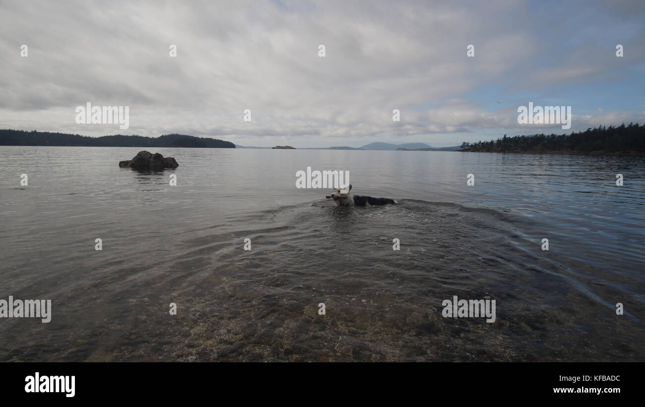 Exploring Washington State, The Great Pacific Northwest Stock Photo - Alamy
