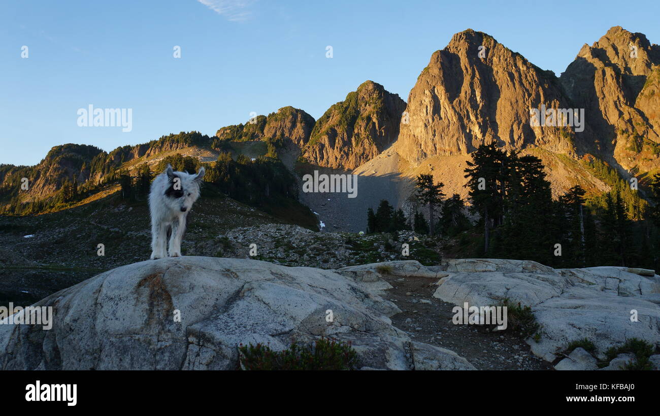 Exploring Washington State, The Great Pacific Northwest Stock Photo - Alamy