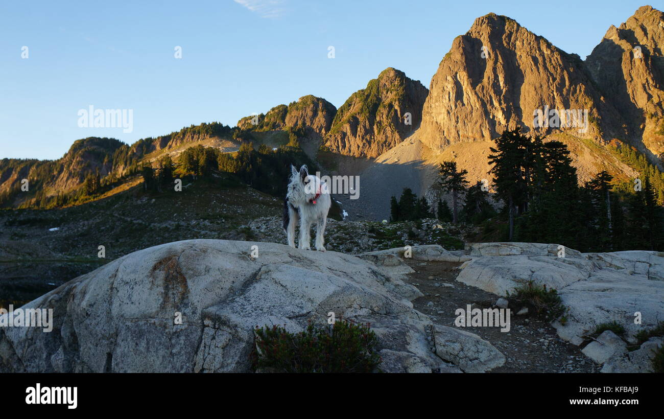 Exploring Washington State, The Great Pacific Northwest Stock Photo - Alamy