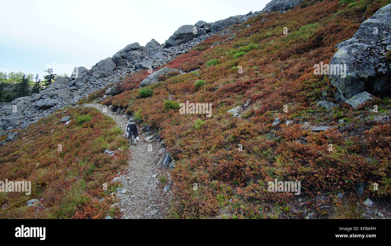 Exploring Washington State, The Great Pacific Northwest Stock Photo - Alamy
