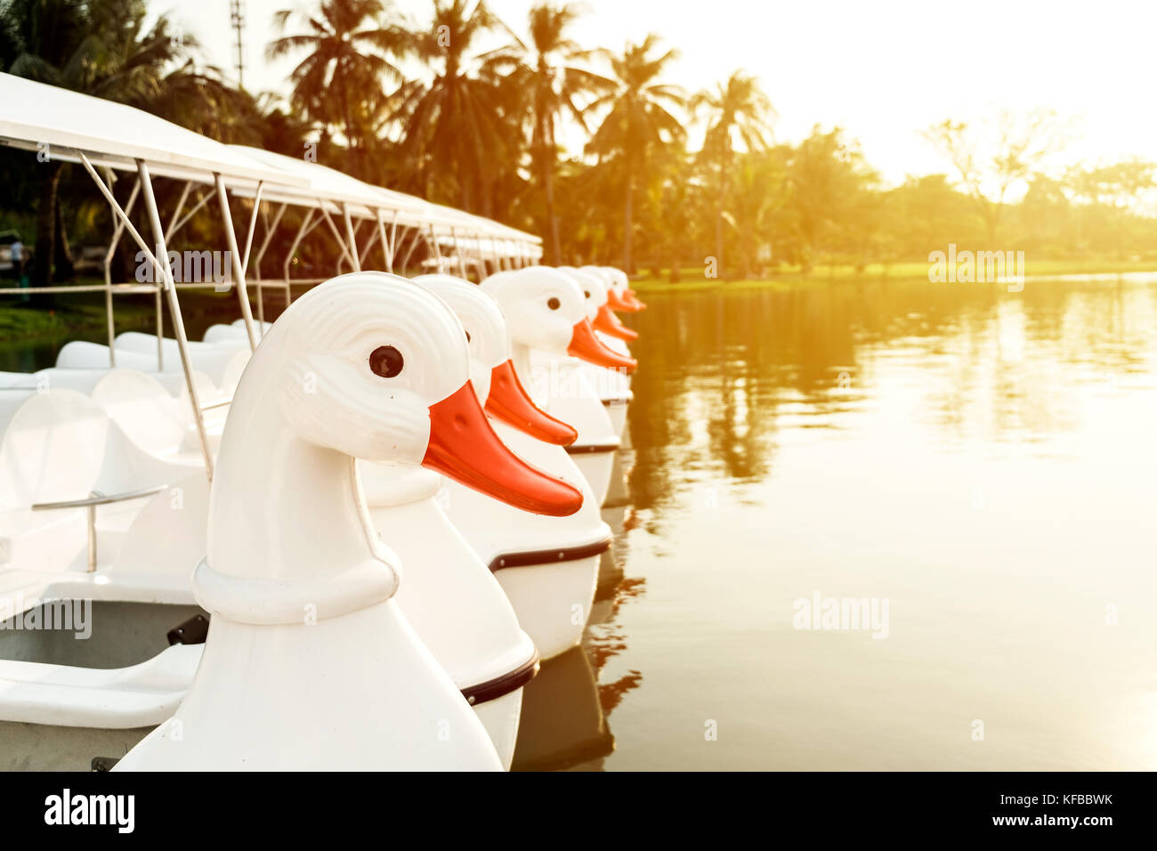 White duck boats parked at waterfront in the morning Stock Photo - Alamy