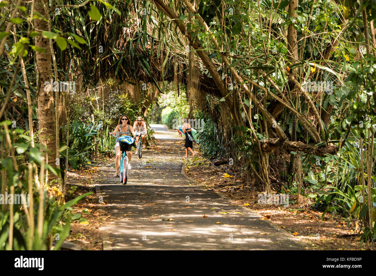 HAWAII, Oahu, North Shore, individuals riding their bikes on the path ...
