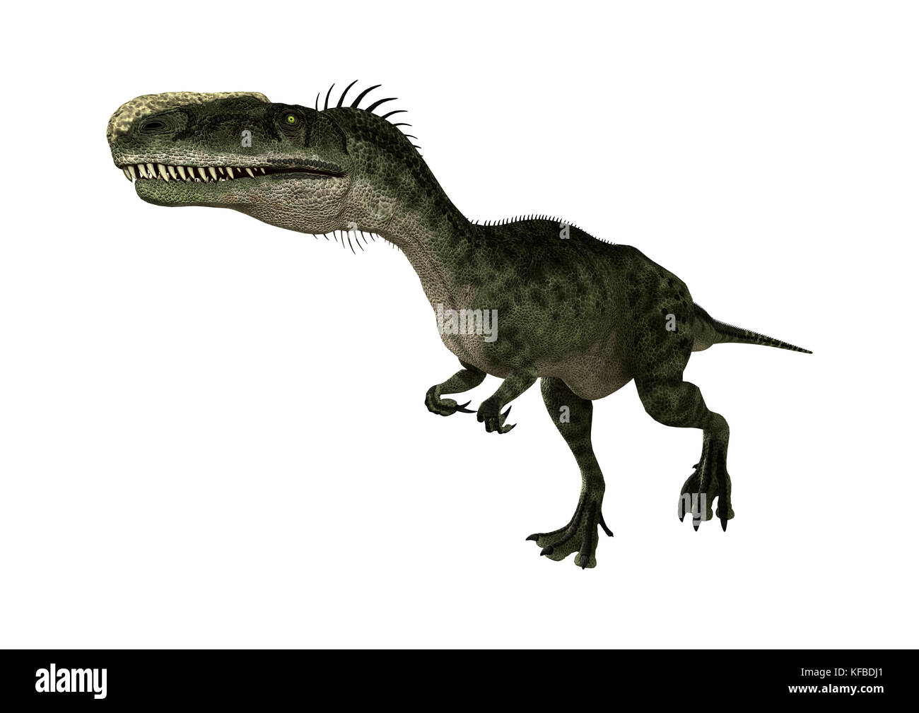 3D rendering of a dinosaur Monolophosaurus isolated on white background ...