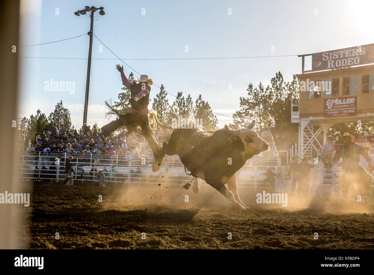 USA, Oregon, Sisters, Sisters Rodeo, cowboys ride a 2,000 pound bull ...