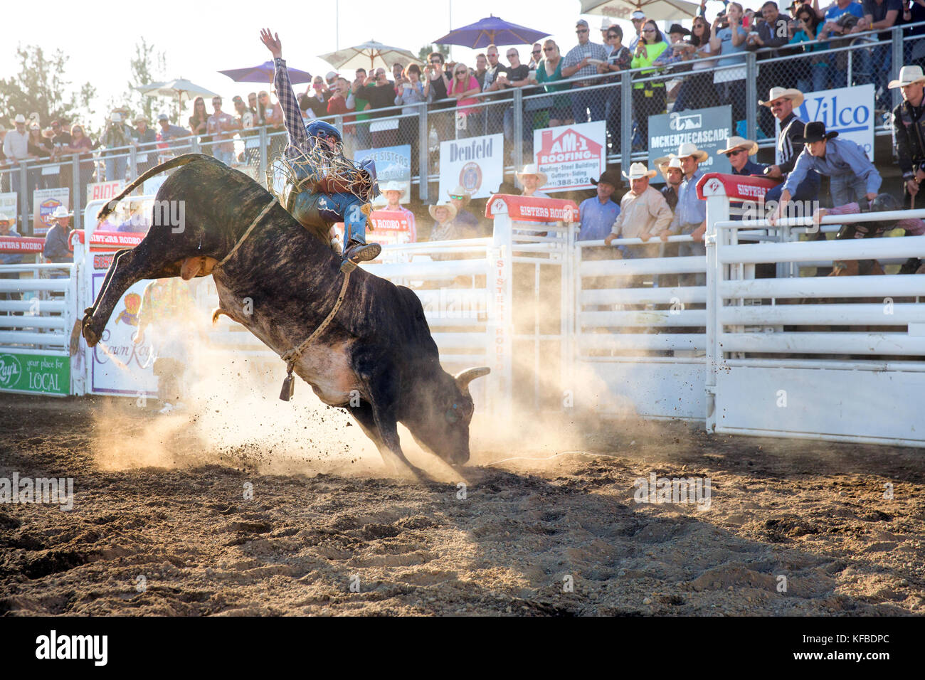 USA, Oregon, Sisters, Sisters Rodeo, cowboys ride a 2,000 pound bull ...