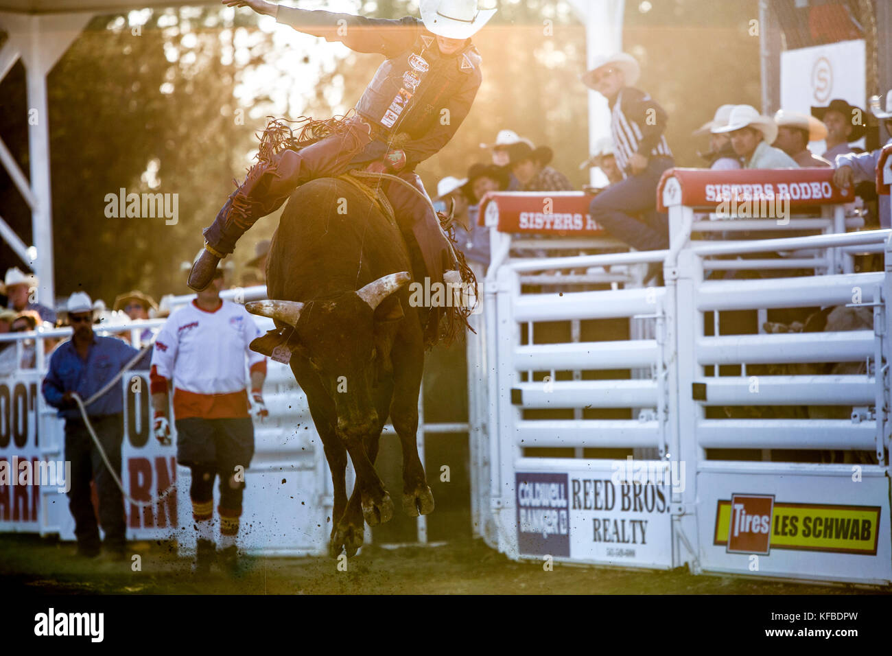 USA, Oregon, Sisters, Sisters Rodeo, cowboys ride a 2,000 pound bull ...