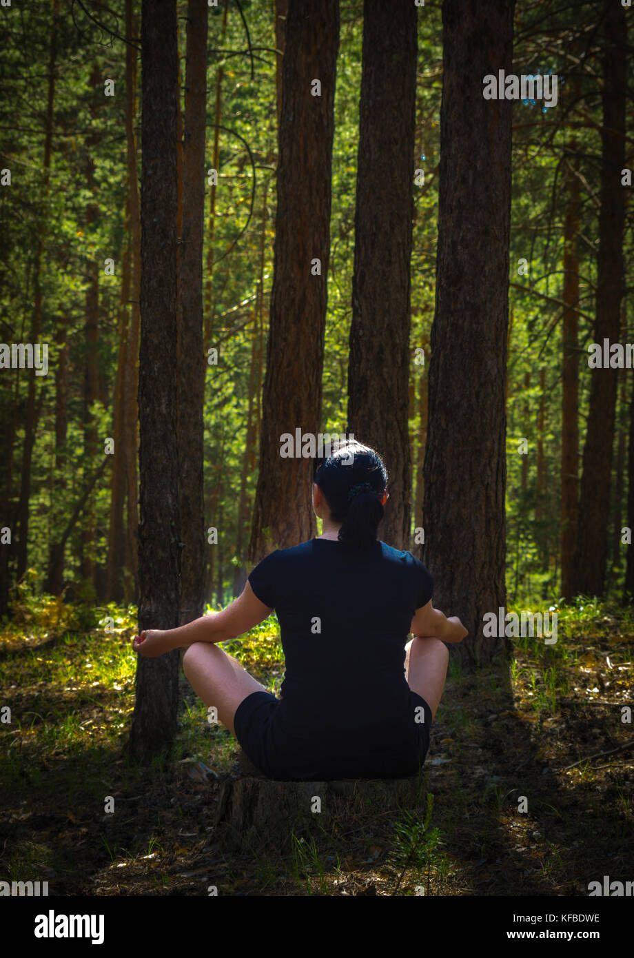 A woman meditates in the forest sitting on a tree stump on a sunny ...