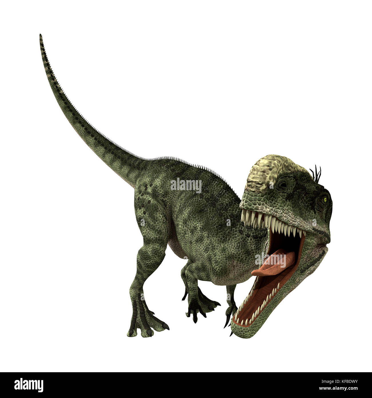 3D rendering of a dinosaur Monolophosaurus isolated on white background ...