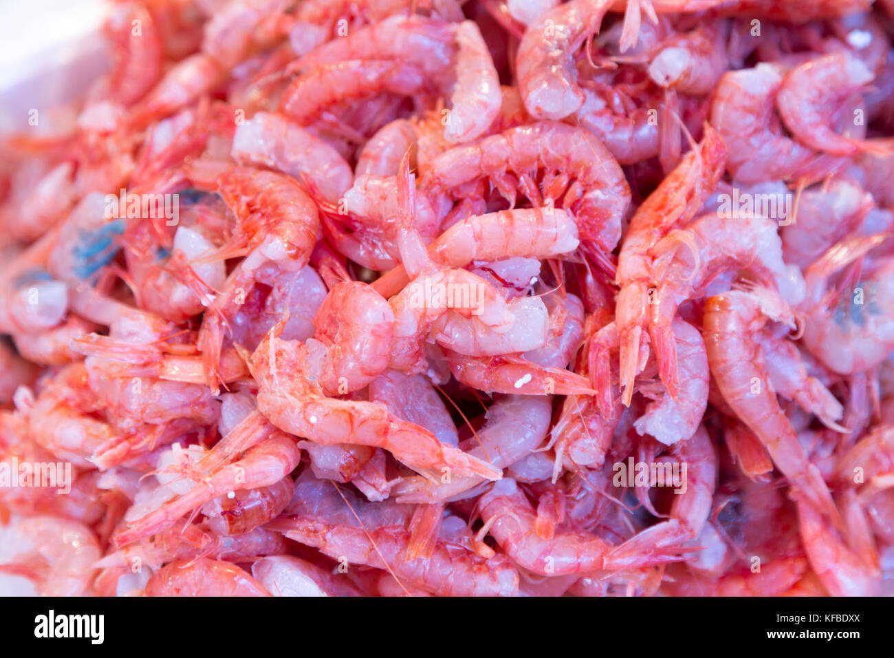 Prawns for sale hi-res stock photography and images - Alamy