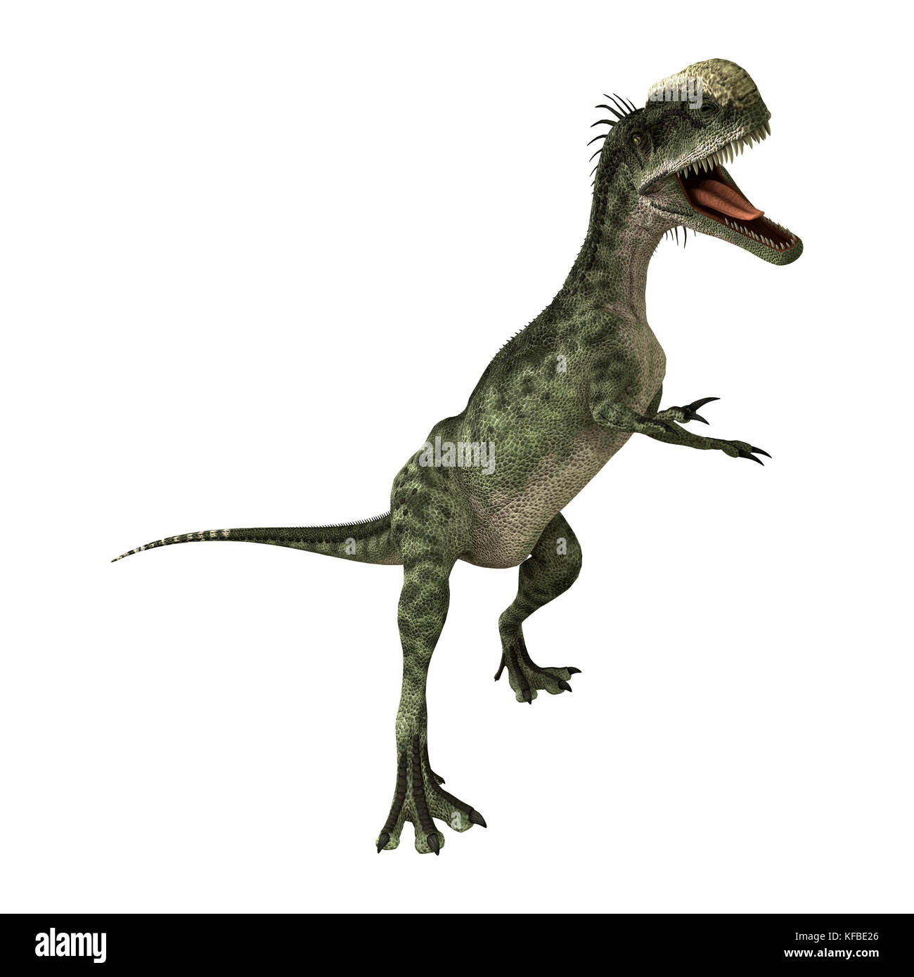 3D rendering of a dinosaur Monolophosaurus isolated on white background ...
