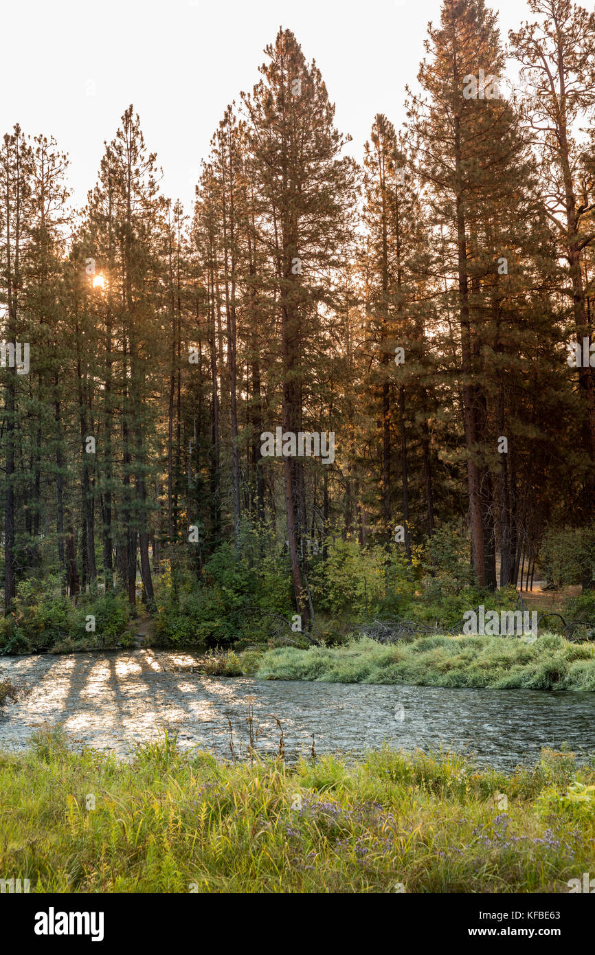 USA, Oregon, Camp Sherman, Metolius River Resort, Metolius River ...