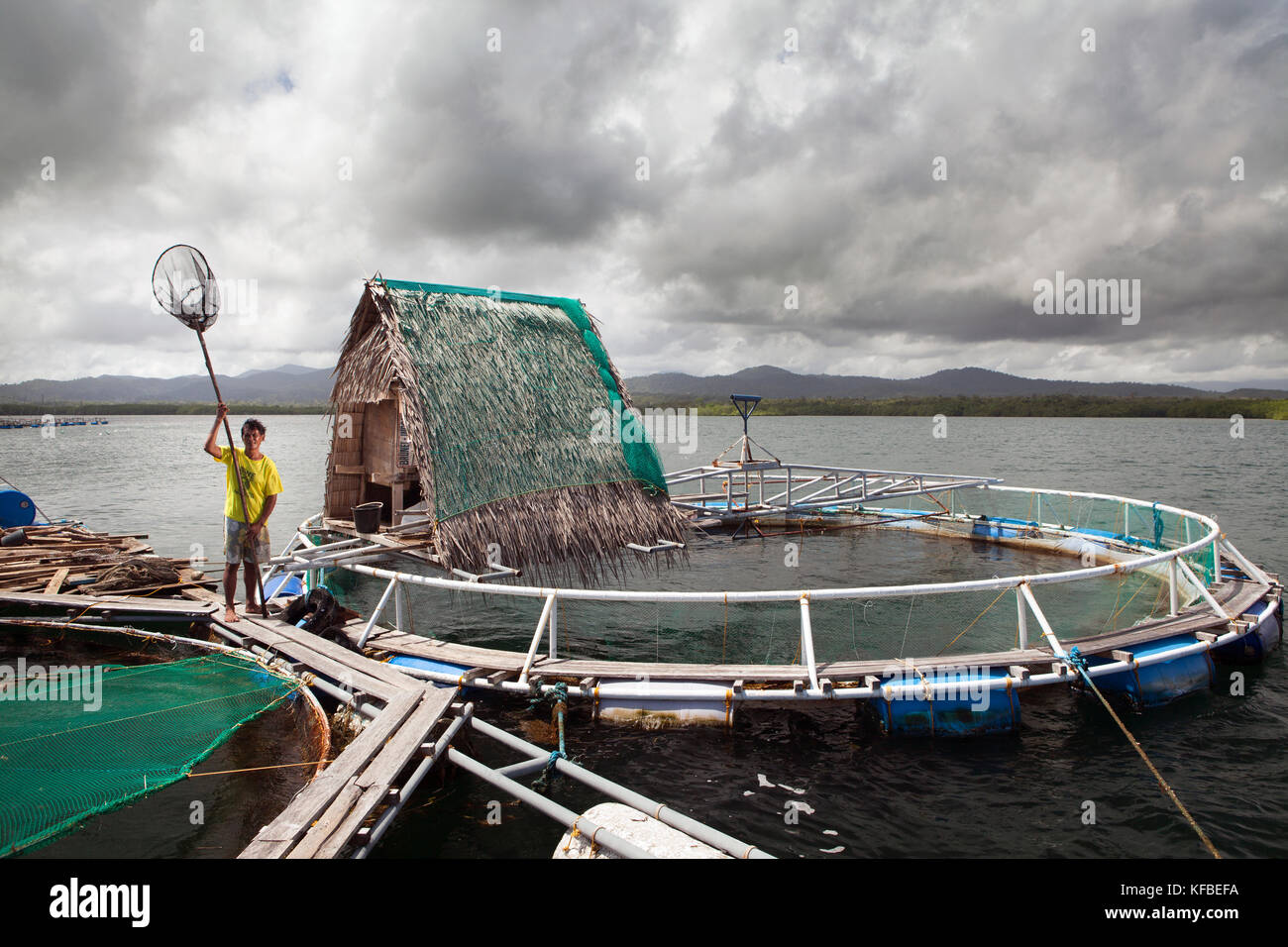 PHILIPPINES, Palawan, Puerto Princessa, fish farm employee Roberto ...