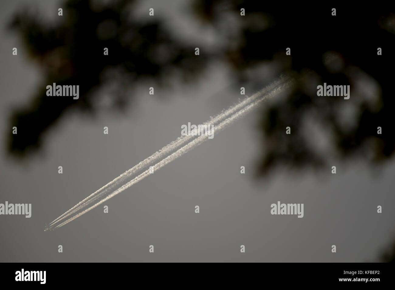 Trace of jet plane on the blue sky © Wojciech Strozyk / Alamy Stock ...