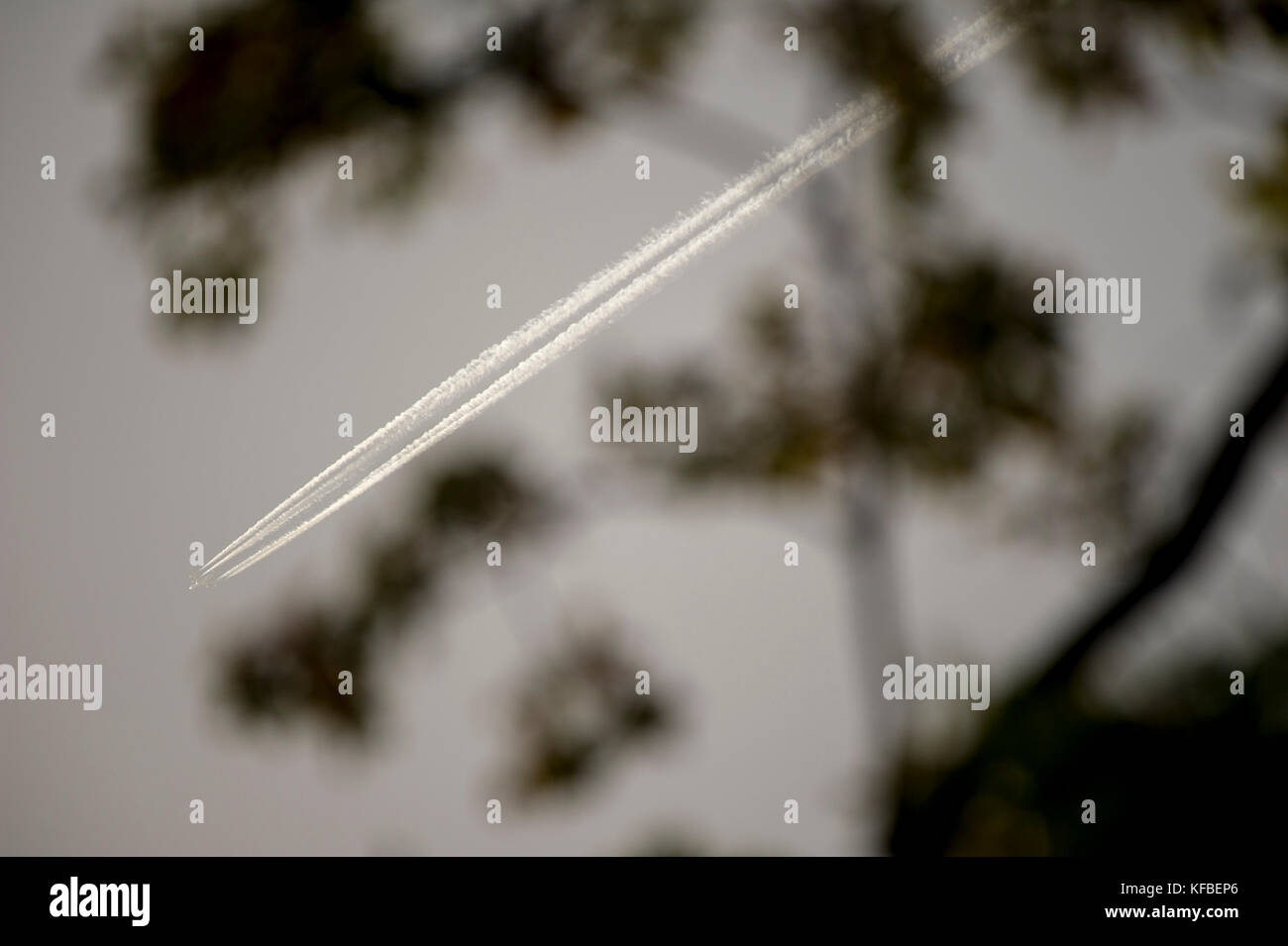 Trace of jet plane on the blue sky © Wojciech Strozyk / Alamy Stock ...